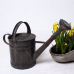 Vintage Round Watering Can – Vintage Matters